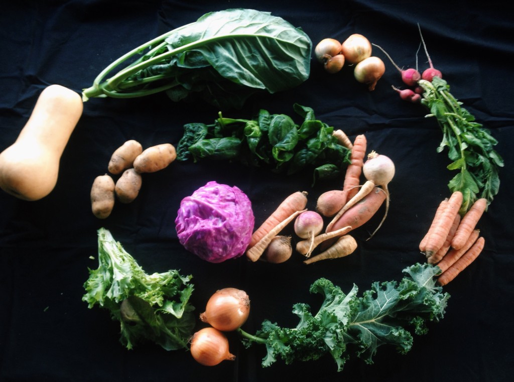Winter CSAs | Walker Farm