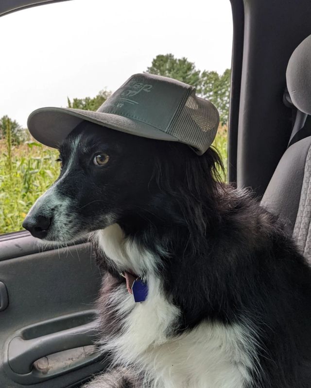 2020 State of the Farm | Walker Farm