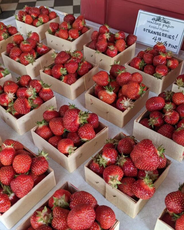 2020 State of the Farm | Walker Farm