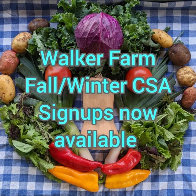 Winter Csa Box