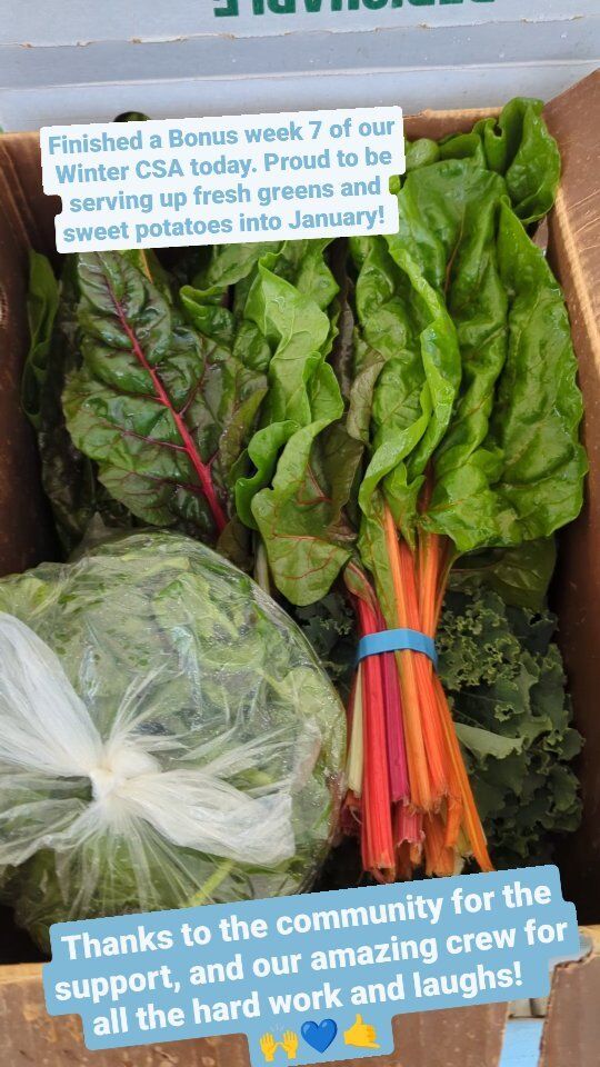 2020 State of the Farm | Walker Farm