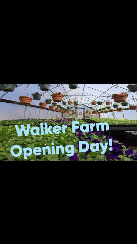 Walker Farm Downloadable Brochure | Walker Farm